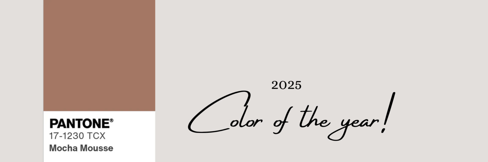 2025 Color of the Year | timberrivers.com