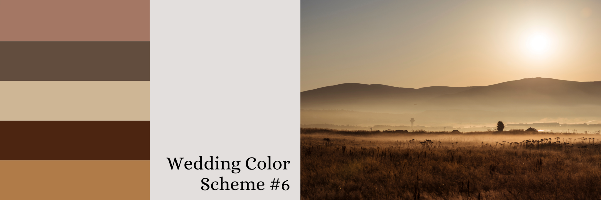 2025 Color of the Year | timberrivers.com